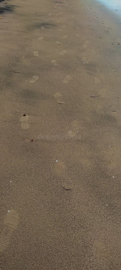 Footsteps on beach sand stock photo. Image of wall, floor - 291119000