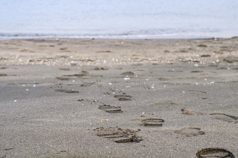 Footsteps on the beach stock photo. Image of water, path - 90210782