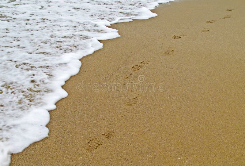 Footsteps on Beach Shoreline Stock Image - Image of freedom, reminder ...