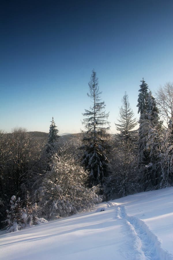 Footsteps in Deep Snow on Cold Winter Day Stock Image - Image of sunny ...