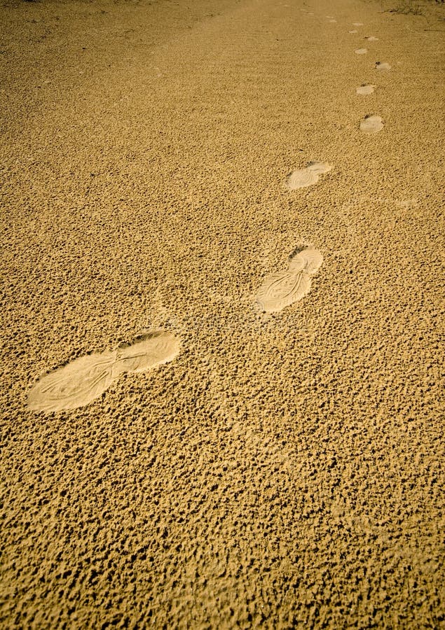 Footsteps in the desert stock photo. Image of footstep - 14107284