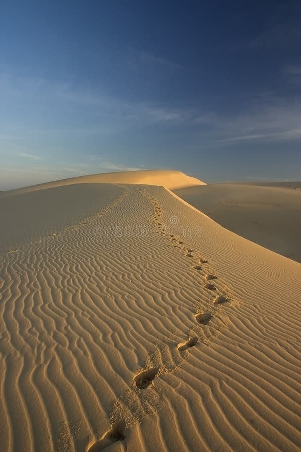 Footsteps into the desert stock photo. Image of blue - 21546674