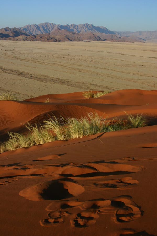 Footsteps on Elim Dune in Namibia Stock Photo - Image of namib, desert ...