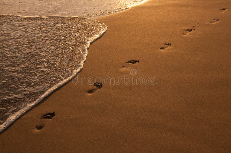 Footsteps in the Golden Sand on the Beach Stock Photo - Image of ...