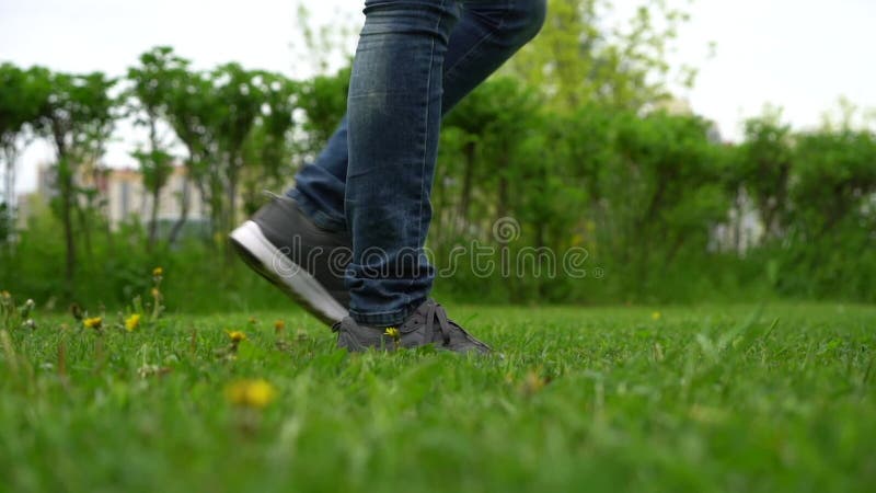 Footsteps on the Grass are Large with a Blurred Background. Stock Video ...