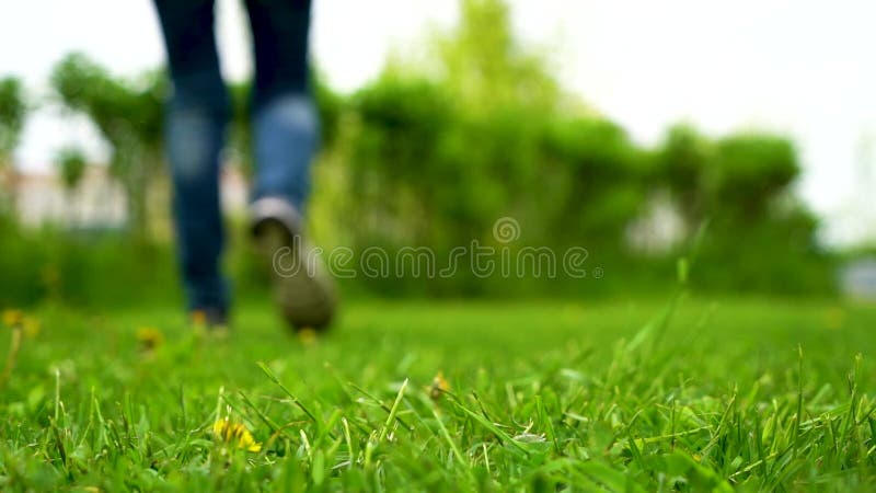 Footsteps on the Grass are Large with a Blurred Background. Stock Video ...