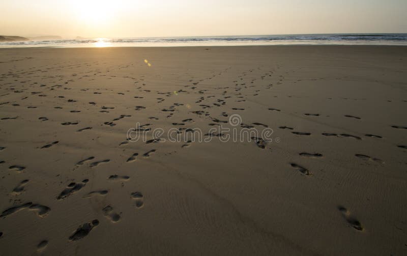 1,038 Brown Footsteps Stock Photos - Free & Royalty-Free Stock Photos ...
