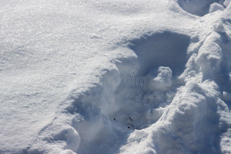 Footsteps in the Powdery Snow Stock Photo - Image of powdery, white ...