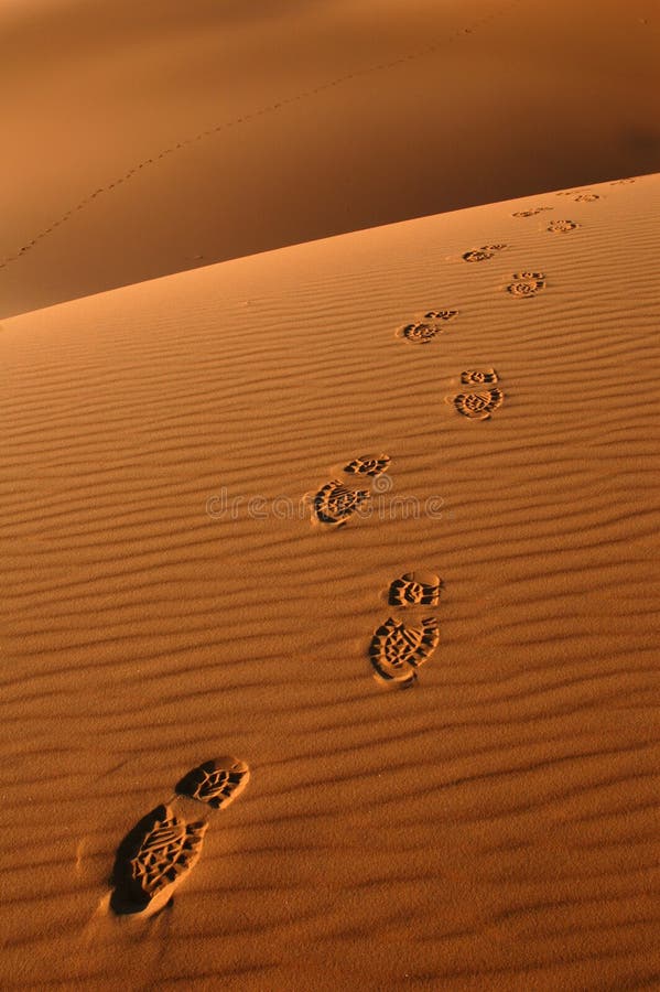 Footsteps in the Sahara Desert Stock Photo - Image of morocco ...