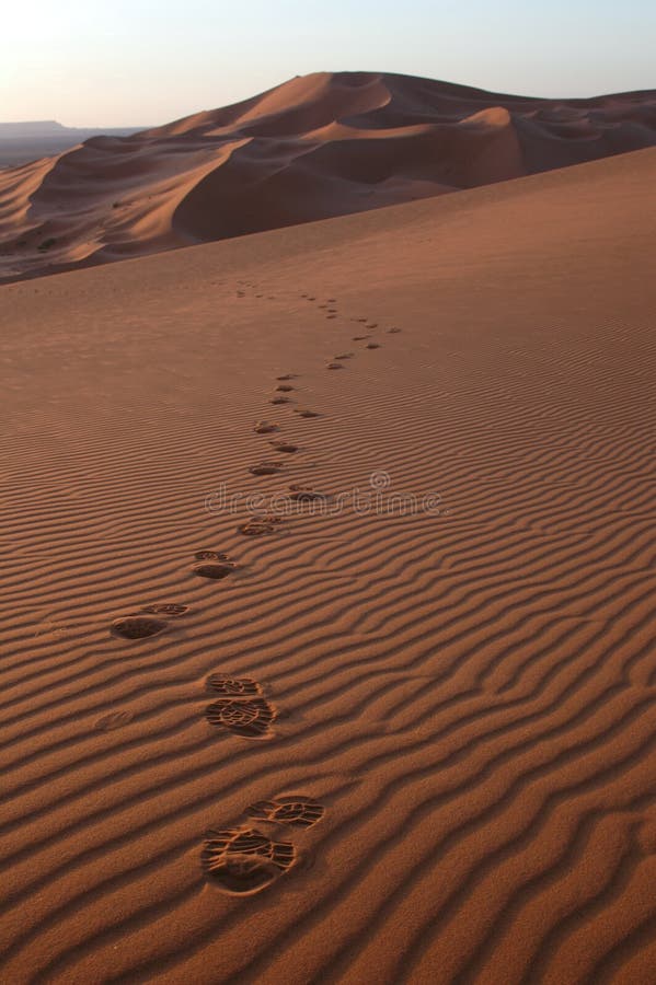 Footsteps in the Sahara Desert Stock Image - Image of footprint, sand ...