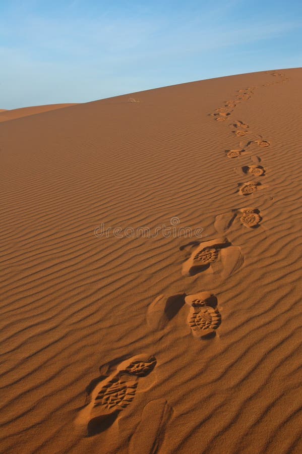 Footsteps in the Sahara Desert Stock Image - Image of desert, egyptian ...