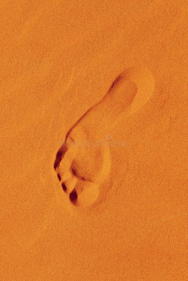 Footsteps in the Sahara Desert Stock Image - Image of footprint, sand ...