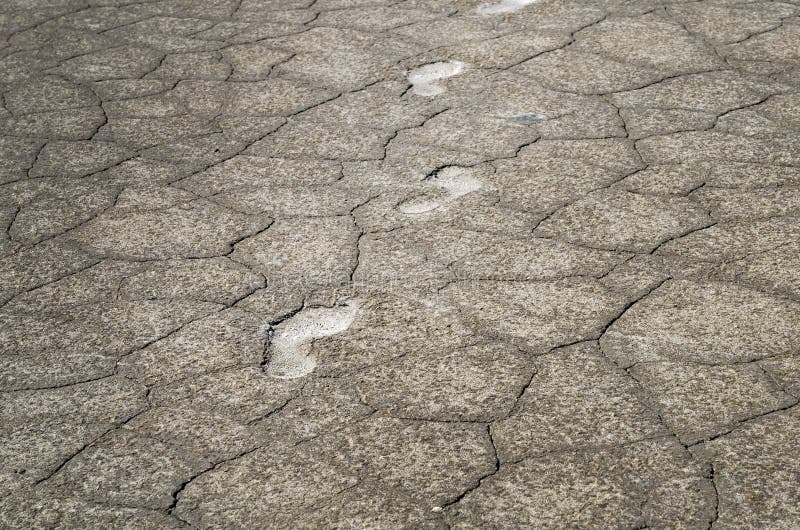 Footsteps in salt stock image. Image of dirt, extreme - 26934787