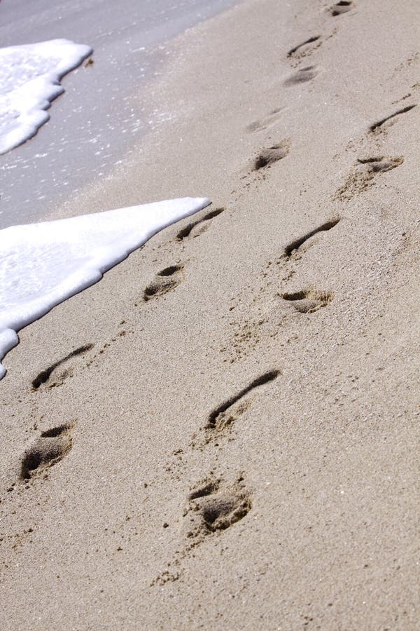 Footsteps in the Sand stock photo. Image of ocean, sand - 13476232