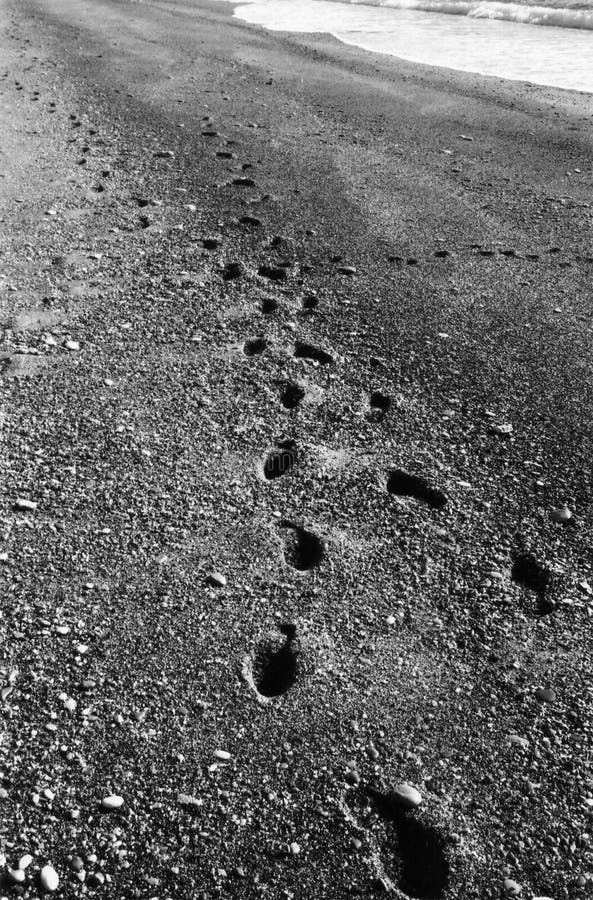 Footsteps stock image. Image of step, sand, beach, imprint - 147041147