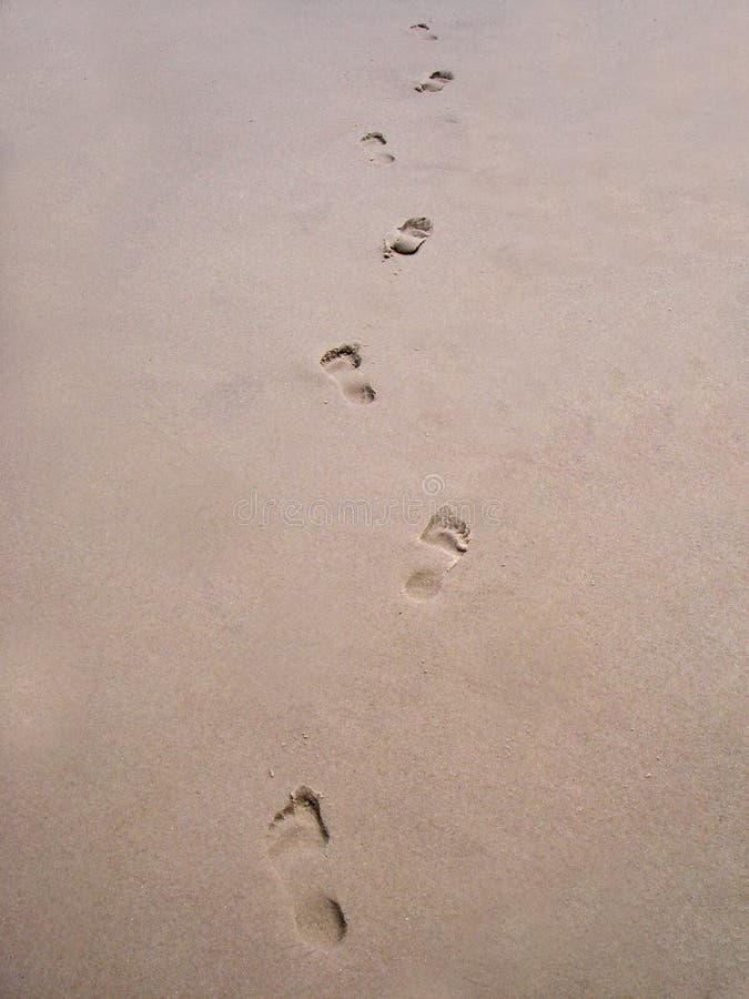 Footsteps in the Sand stock photo. Image of line, ocean - 1568834