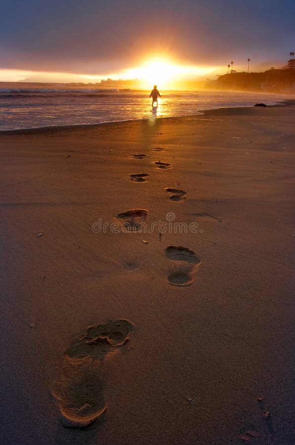 Footsteps in the sand stock image. Image of alive, awake - 20998559
