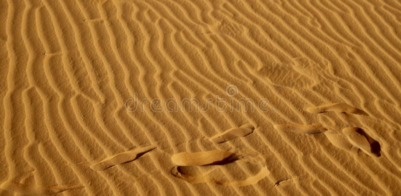 A Trail of Footsteps in the Desert Sand Stock Image - Image of lines ...