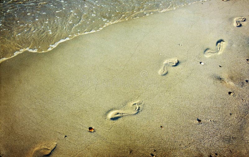 Footsteps in the sand stock photo. Image of explore, ocean - 25553476