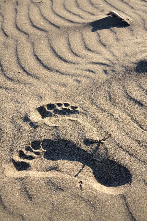 Footsteps in a sand stock photo. Image of beach, peaceful - 27110184