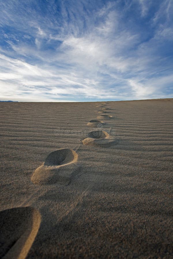 Footsteps in the sand stock photo. Image of sand, footstep - 28754004