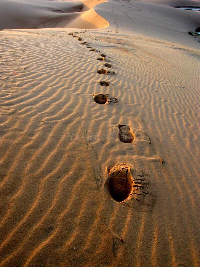 Footsteps in the Sand stock photo. Image of desert, hiking - 4294528