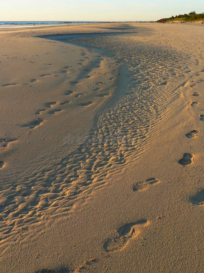 Footsteps in the Sand stock image. Image of sand, footsteps - 4431491