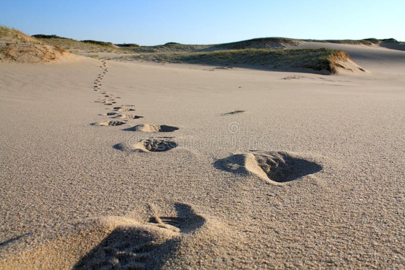 Footsteps in Sand stock image. Image of dune, trek, sand - 5578943