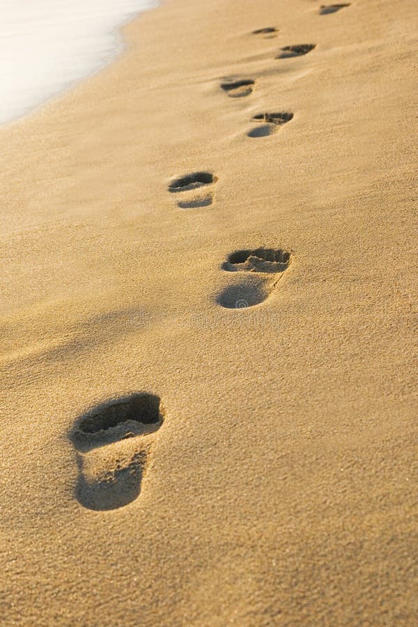 Footsteps in the sand stock photo. Image of foot, vacation - 5719658
