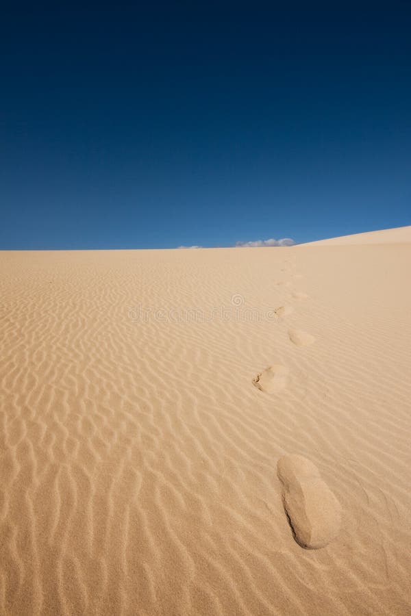 Footsteps In The Sand Picture. Image: 5767195