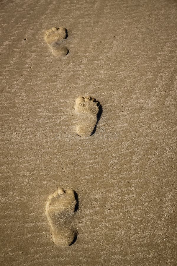 Footsteps in the sand stock image. Image of footsteps - 44549173