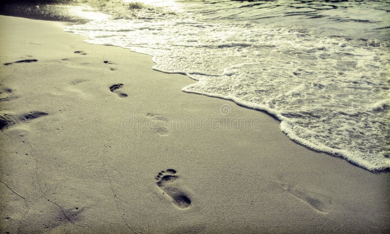 Footsteps in the sand stock image. Image of ocean, romantic - 50872517