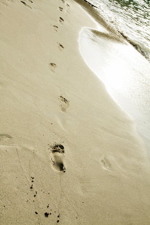 Footsteps in the sand stock image. Image of escape, getaway - 50872555