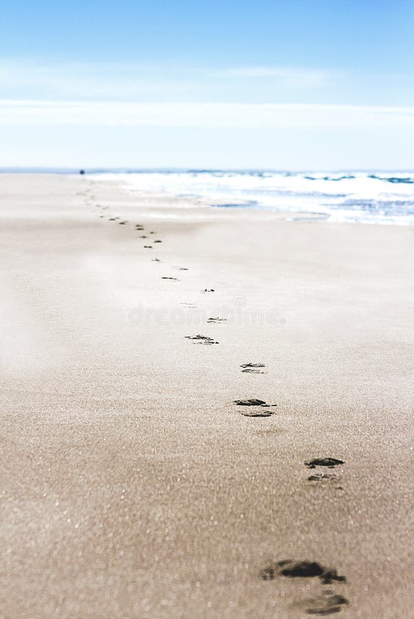 Footsteps in the sand stock photo. Image of beautiful - 31800012