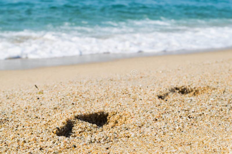 Footsteps on the Sand Beach, Sea on Background Stock Photo - Image of ...