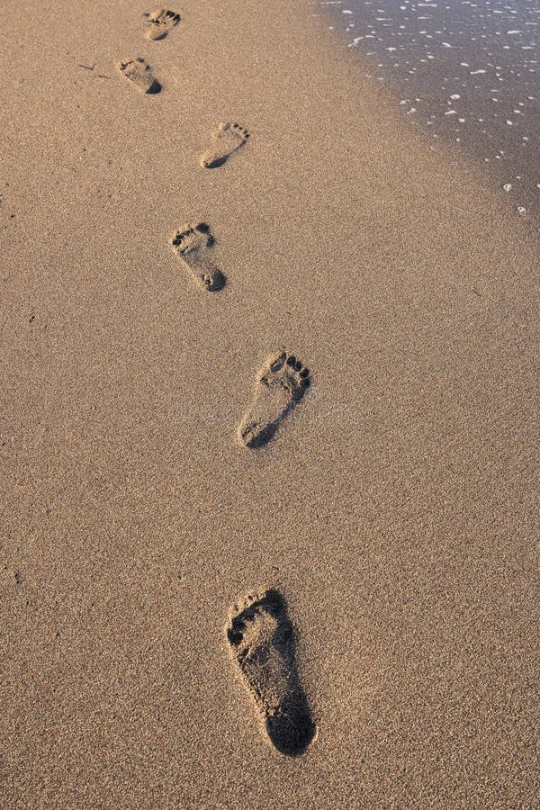 231 Footsteps Beach Vertical Stock Photos - Free & Royalty-Free Stock ...