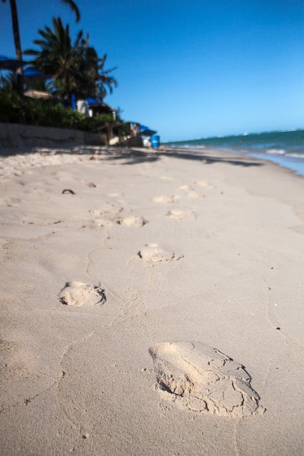Footsteps in Sand stock photo. Image of profile, sharp - 7482998