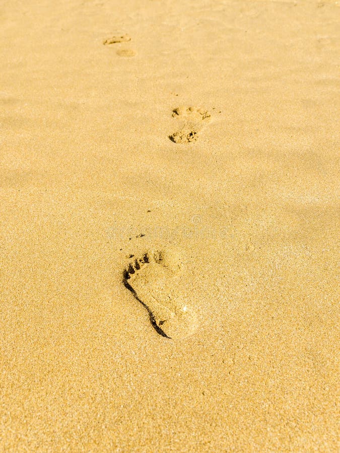 Footsteps in the sand stock image. Image of beach, footsteps - 93229611
