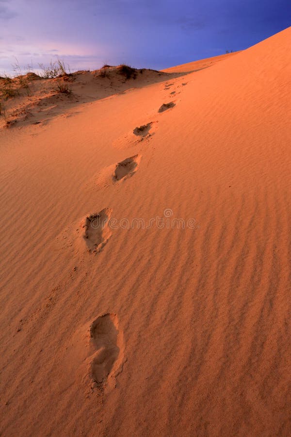 Footsteps on sand stock photo. Image of namib, travel - 41486326