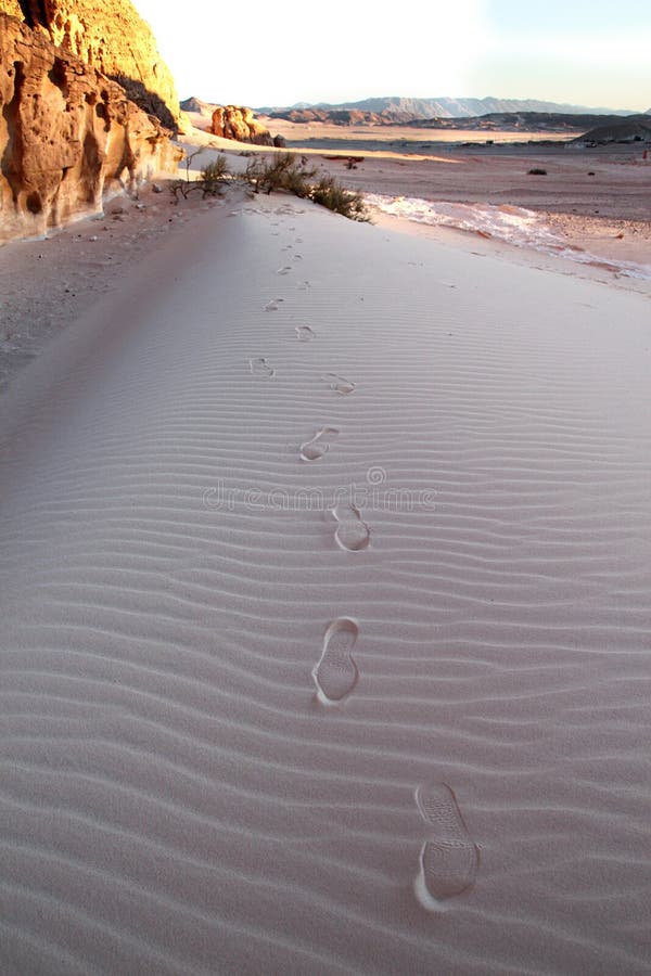 Footsteps on sand stock image. Image of peak, land, rocks - 64337687