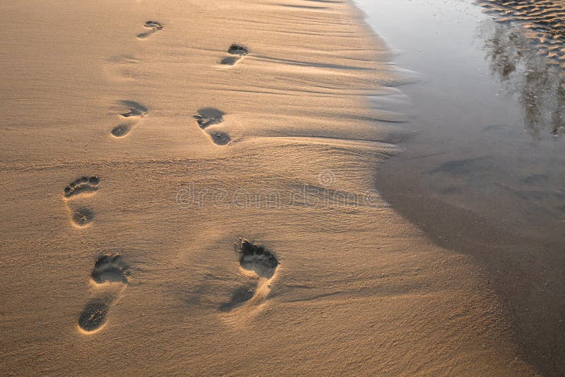 Footsteps in Sand at Sunset. Beautiful Sandy Tropical Beach with ...