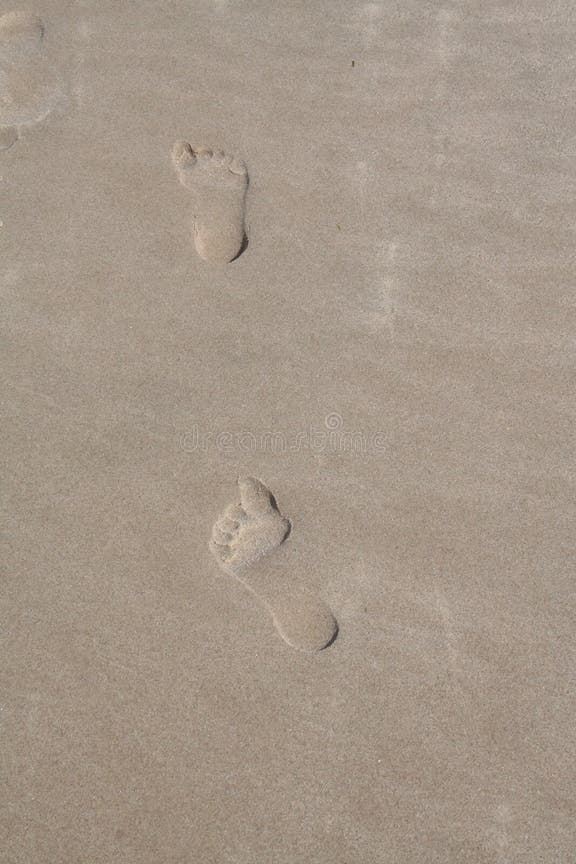 Footsteps in the sand stock image. Image of summer, footsteps - 101035201