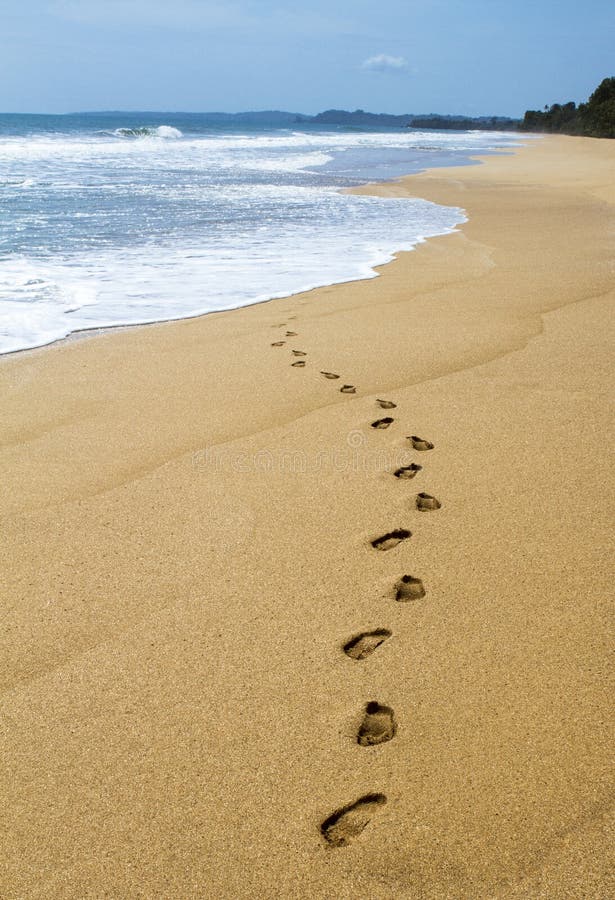 Footsteps in the sand stock photo. Image of footsteps - 5719658