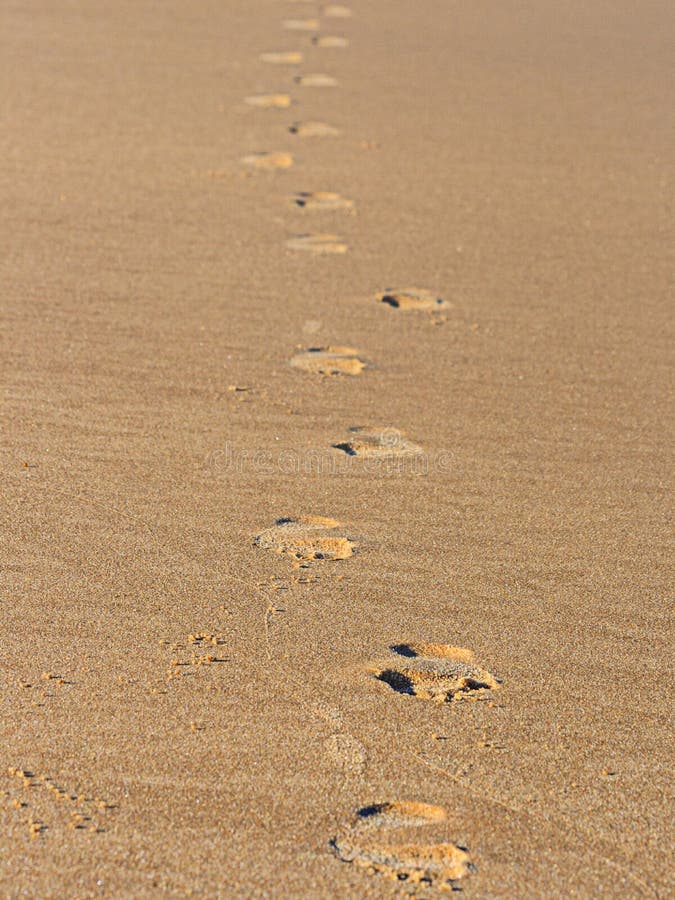 Footsteps on the beach stock image. Image of sand, close - 130448207