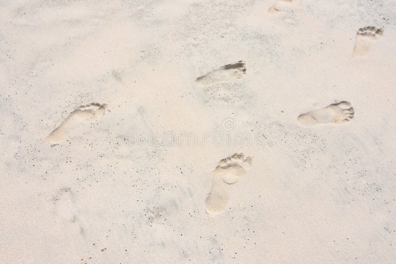 Footsteps on a sandy beach stock photo. Image of ocean - 171353894