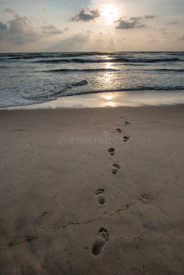 Footsteps on sandy beach stock photo. Image of calming - 104990308