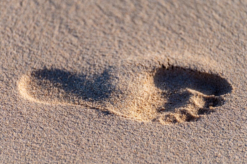 Footsteps on Sandy Beach on Sunset Lights Stock Photo - Image of water ...