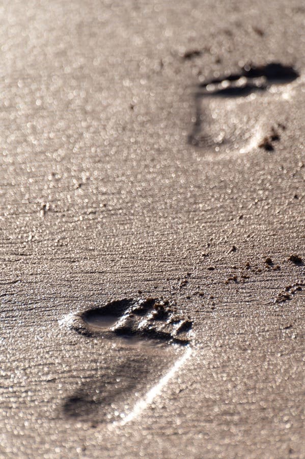 Footsteps on Sandy Beach on Sunset Lights Stock Photo - Image of ...