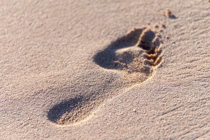 Footsteps on Sandy Beach on Sunset Lights Stock Photo - Image of sand ...