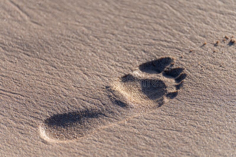 Footsteps on Sandy Beach on Sunset Lights Stock Photo - Image of shoes ...